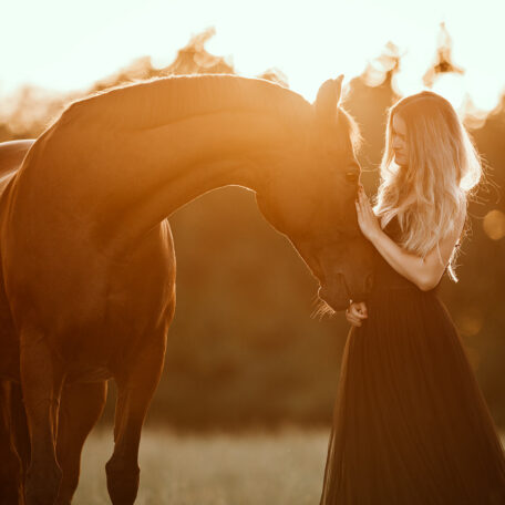 Portfolio Pferd - Hafner Photography